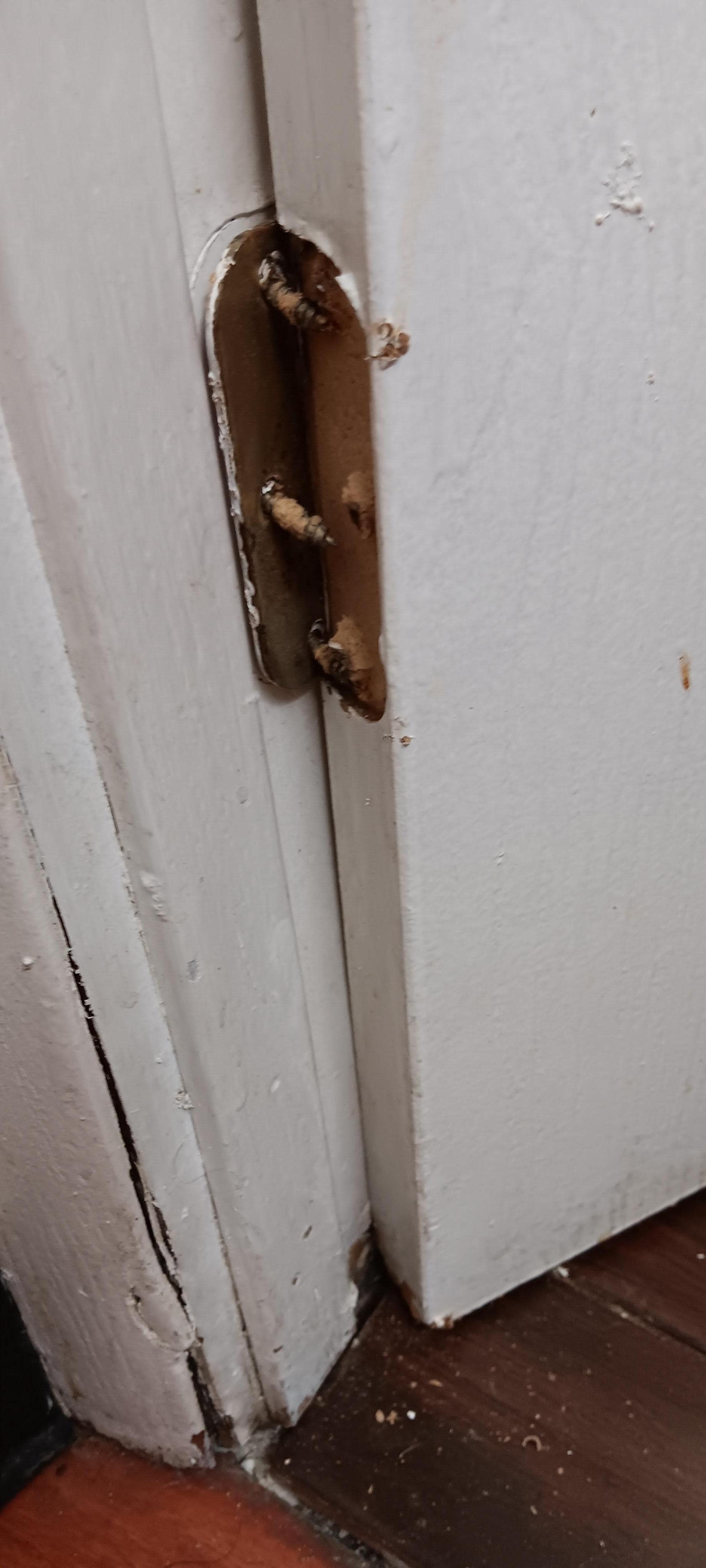 Bathroom door