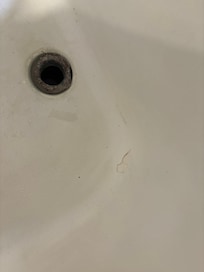 These are just a few of the photos. It was disgusting!!!