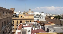 Panoramic rooftop views