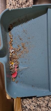 Accumulated dirt under nightstand.
