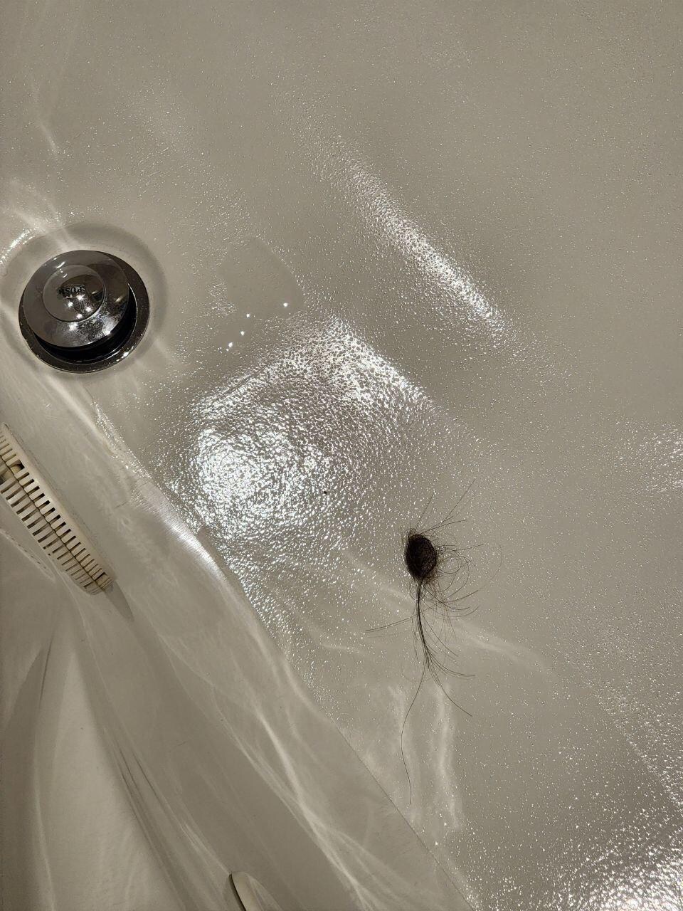 Hair inside  the Bathtub,  nobody came to clean  it.