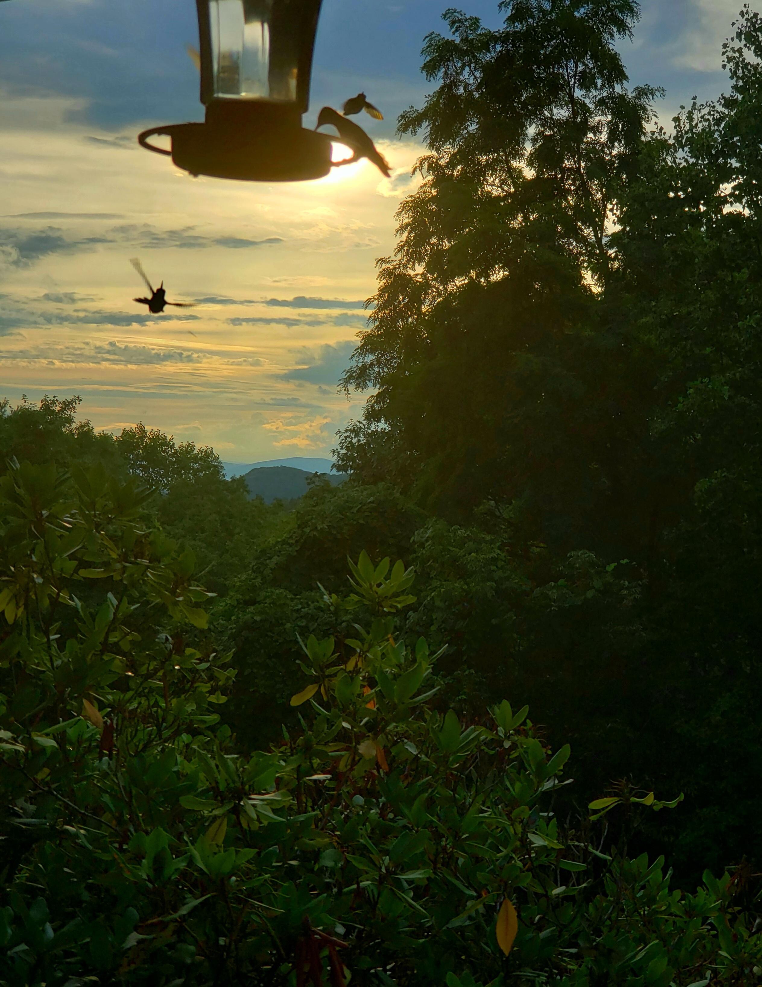 Book Sugar Tree Inn in Vesuvius | Hotels.com