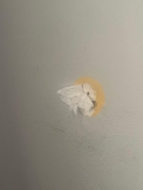 Bigger hole stuffed….