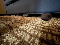 Trash and socks under the couch