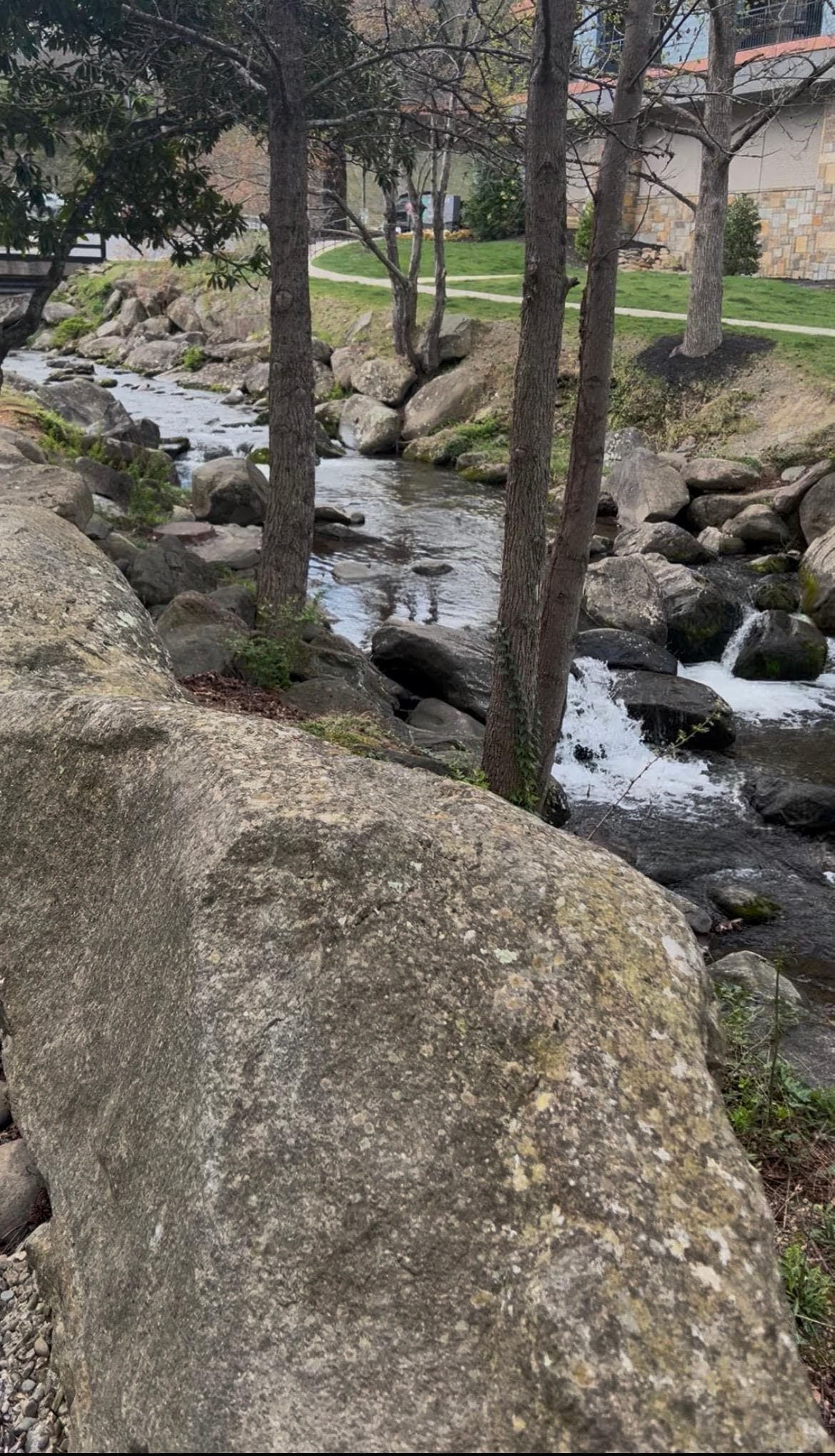 Room balcony overlooking stream