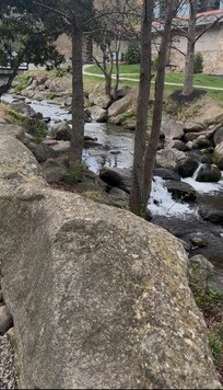 Room balcony overlooking stream
