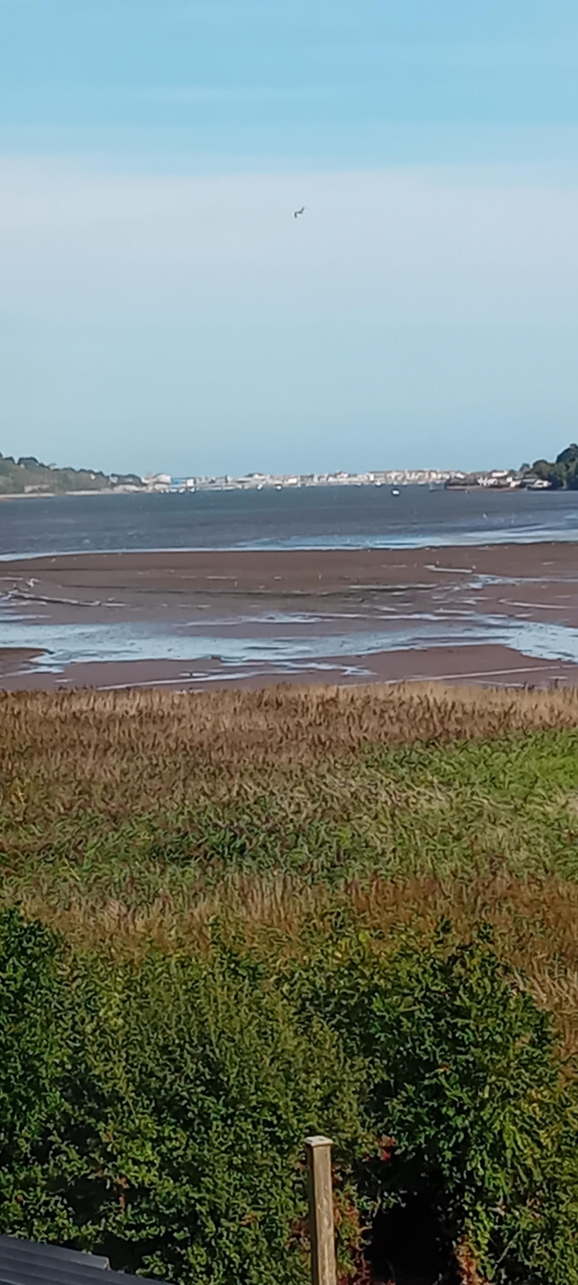 View from our window 