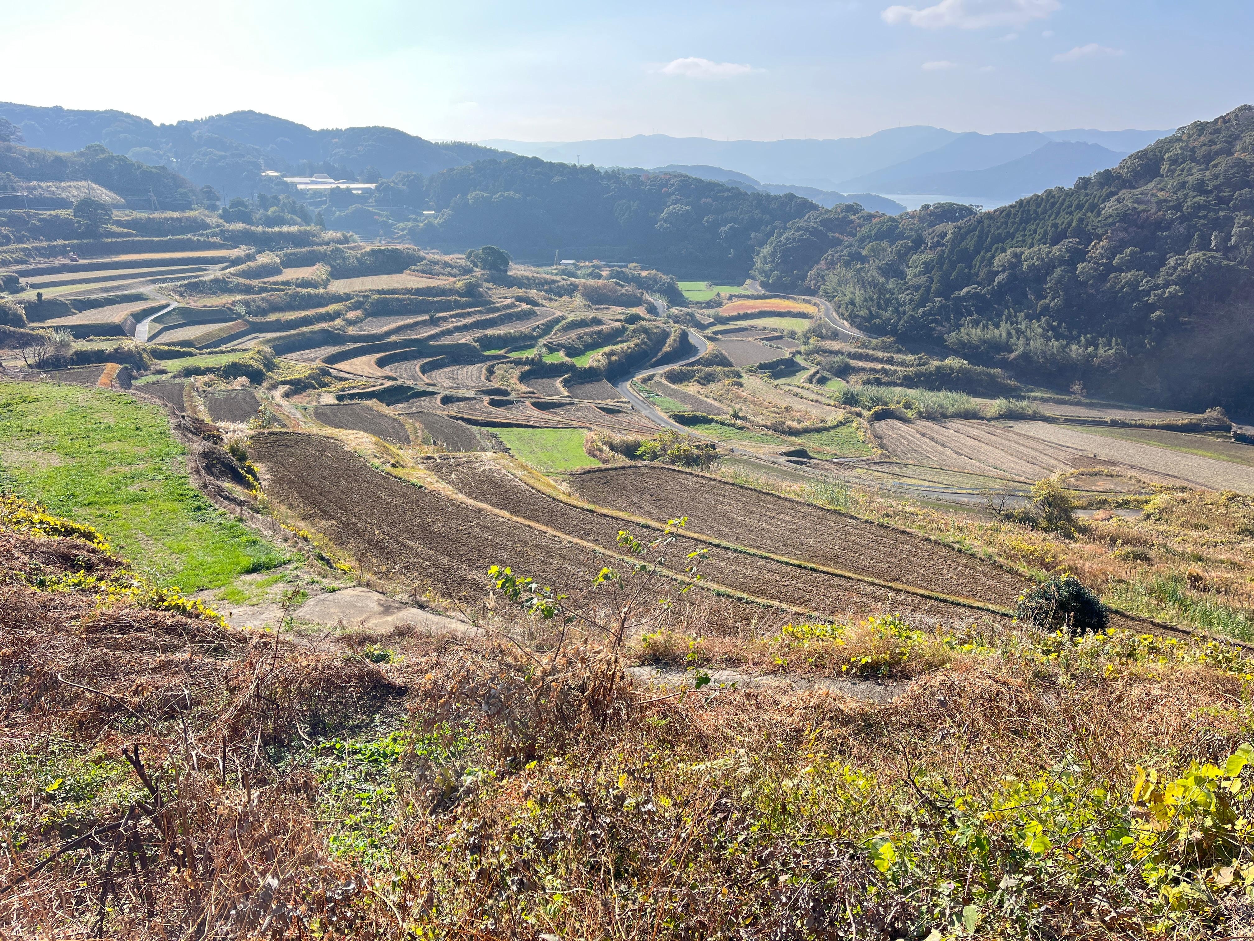 Les rizières à étages 