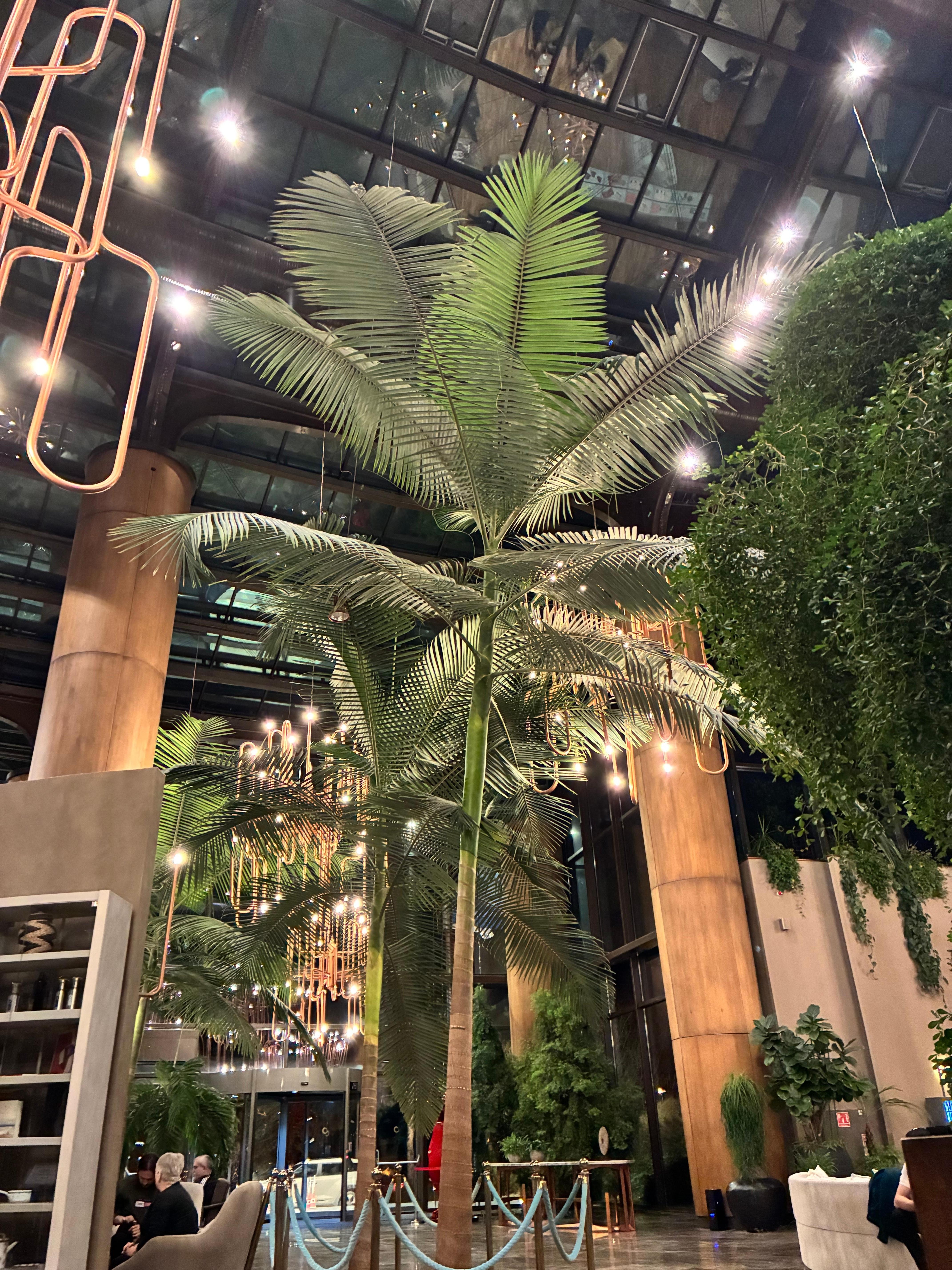 Çevreye duyarlı ve içinde doğayı yaşatan bir otel 