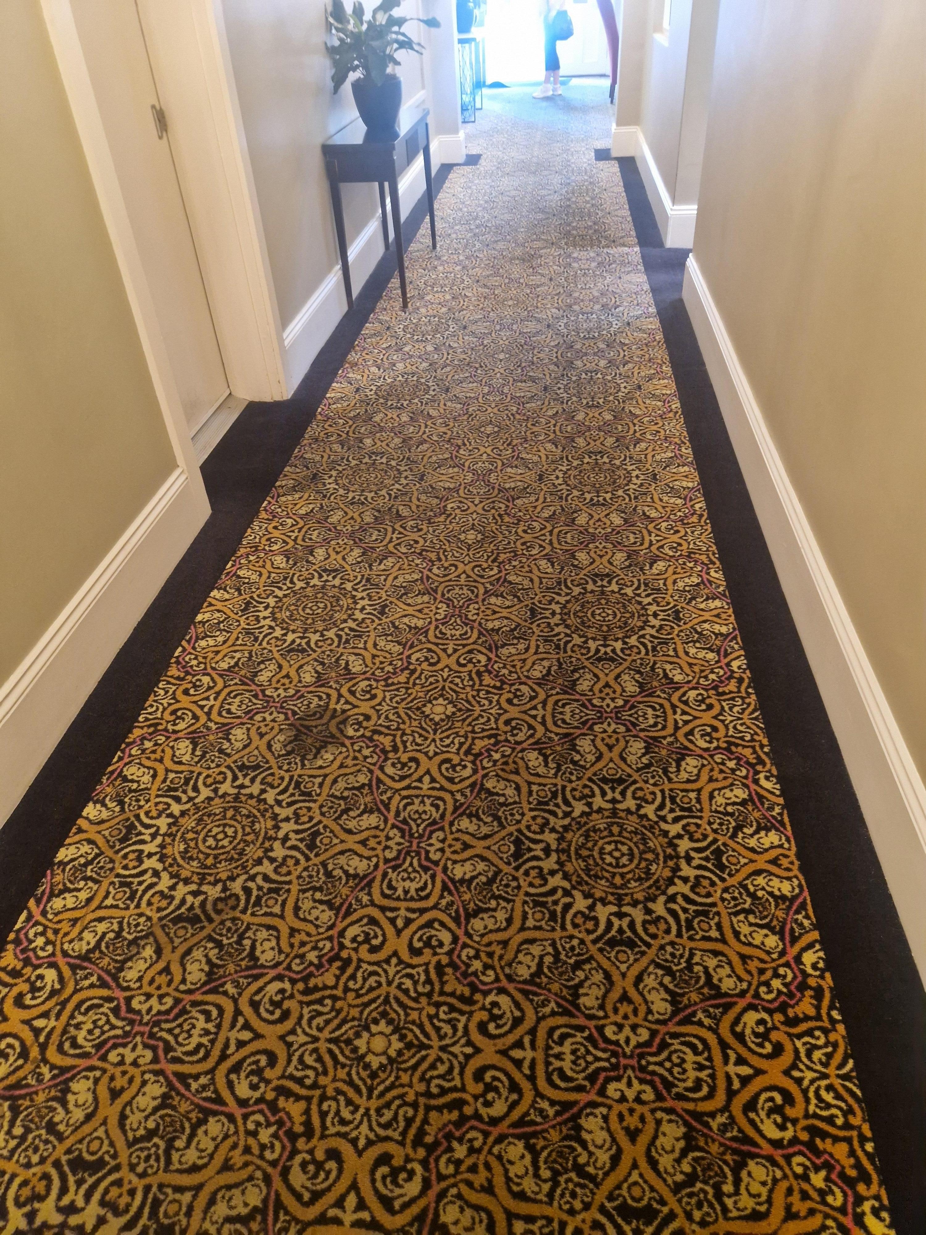 Dirty hall carpets