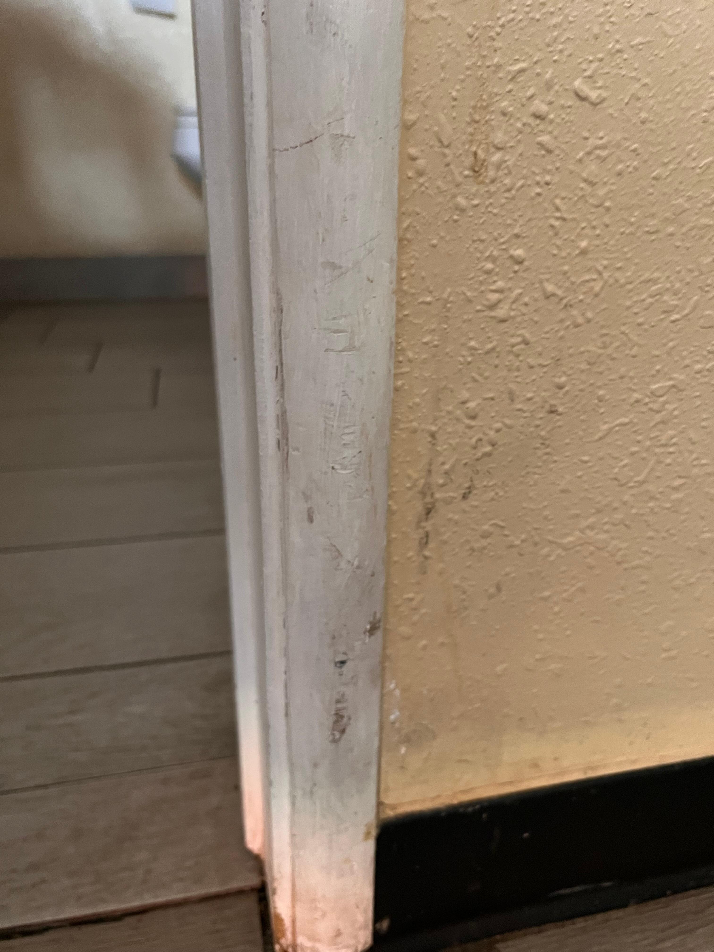 The walls covered in filth