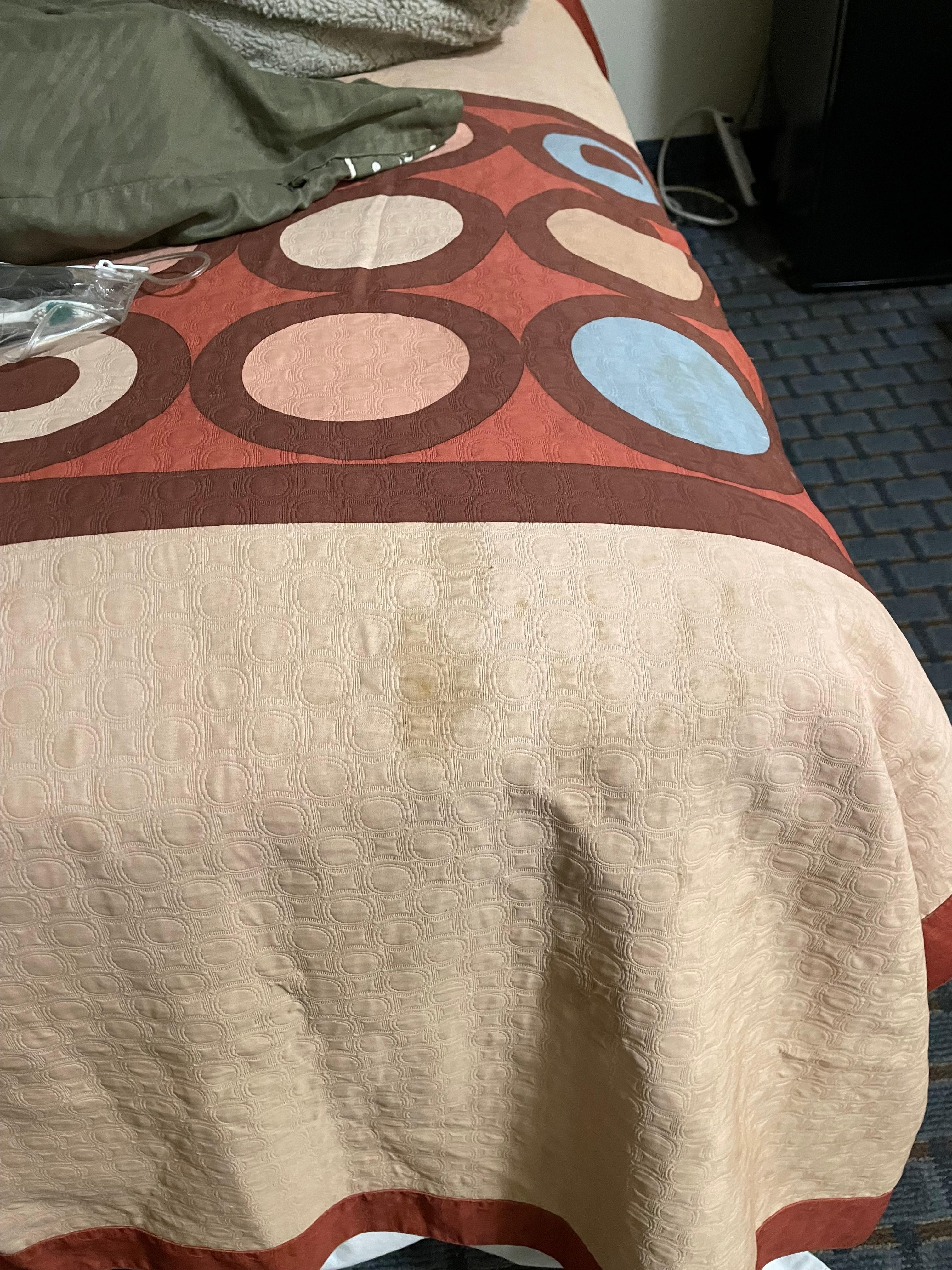 Just some of the stains on the bedspread. 