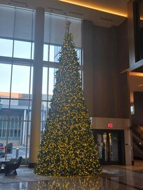 Lobby Christmas tree