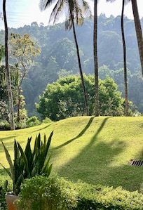 Has its own Teagarden, not in this image however