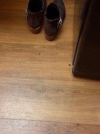 Roaches in the room running around