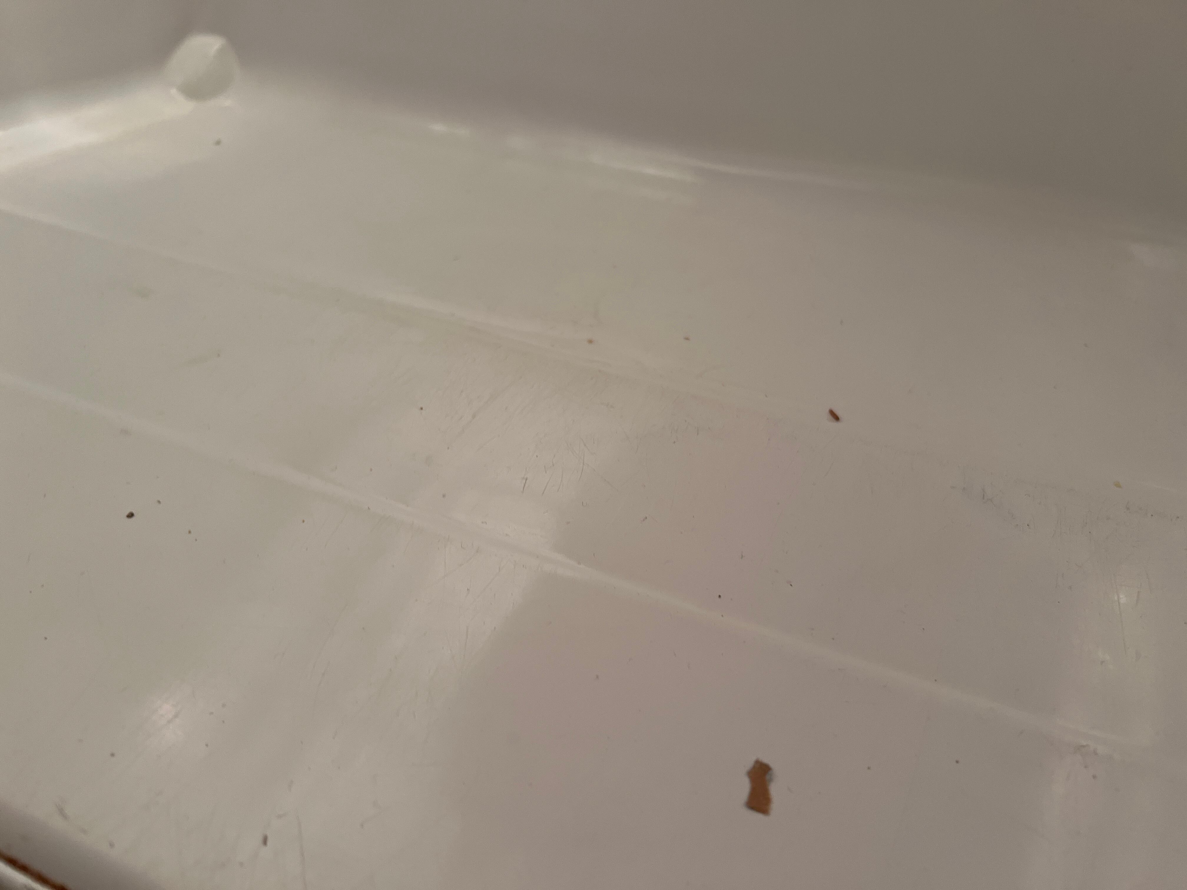 This is the fridge🤢