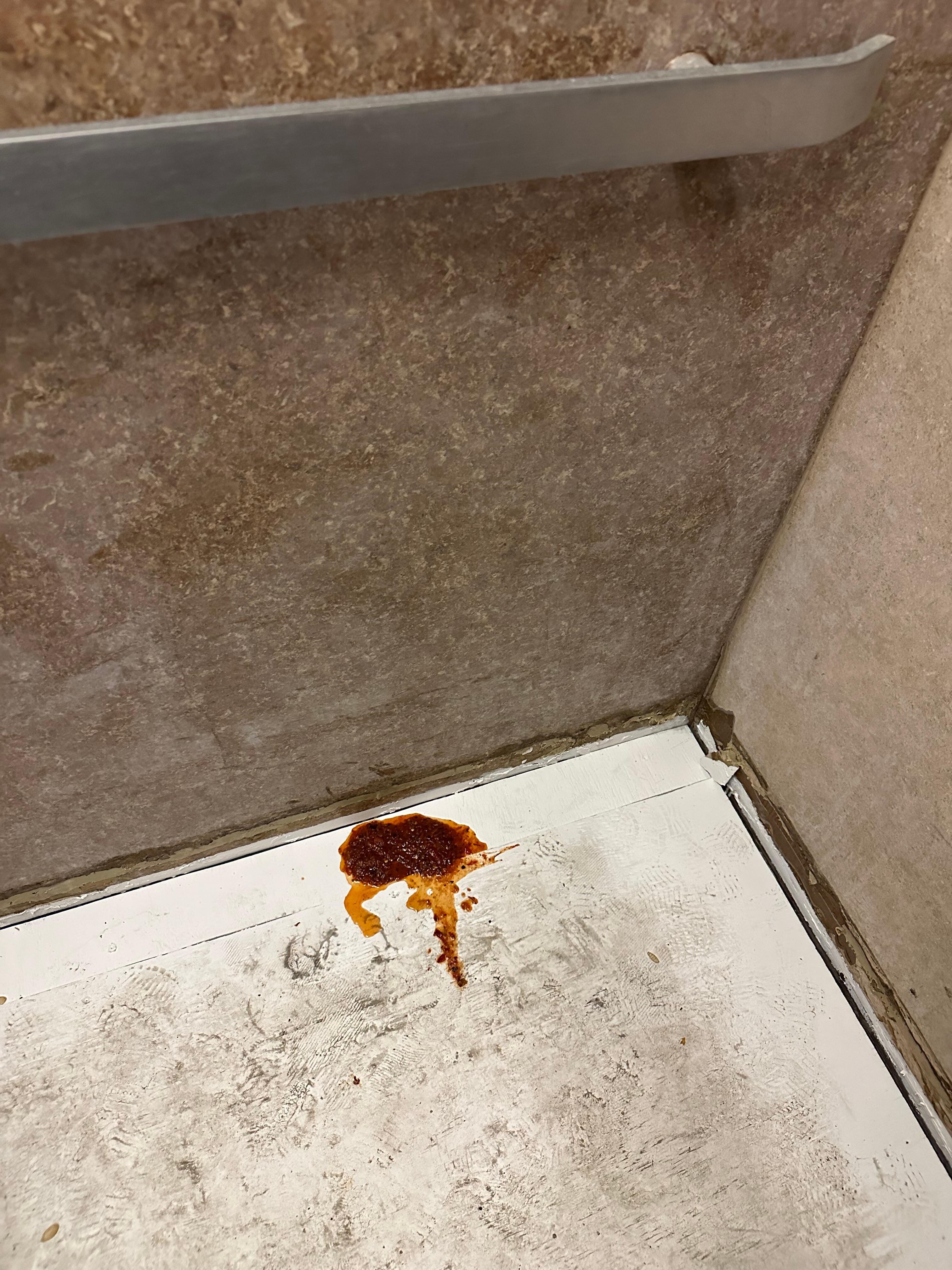 Something nasty on floor of elevator that was never cleaned up throughout the 3 day stay