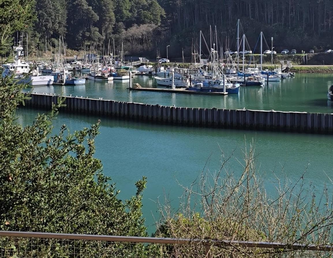 Noyo Harbor