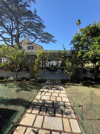 Beautiful landscaped grounds with lemons everywhere