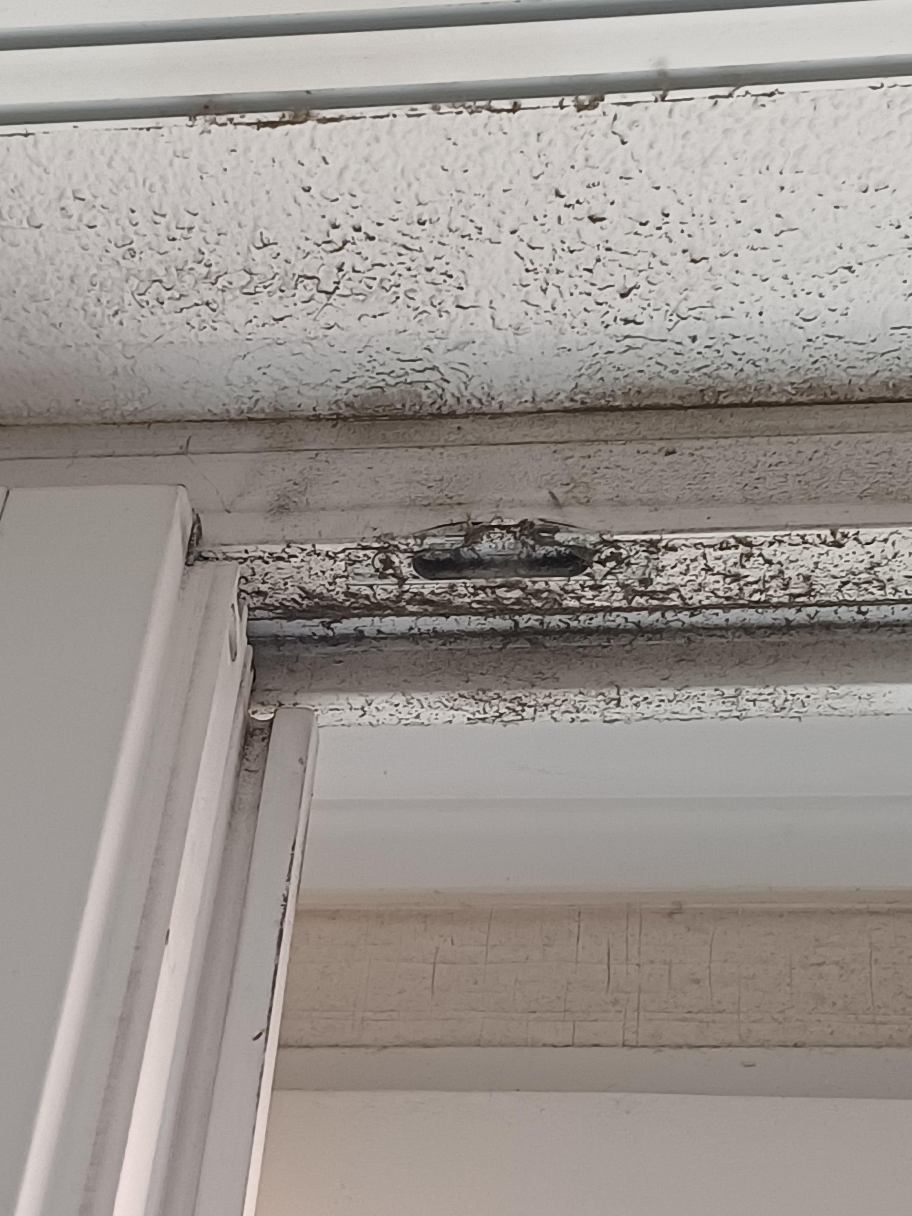 Poussieres dans la chambre