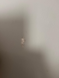 Holes stuffed with toilet paper, yuk