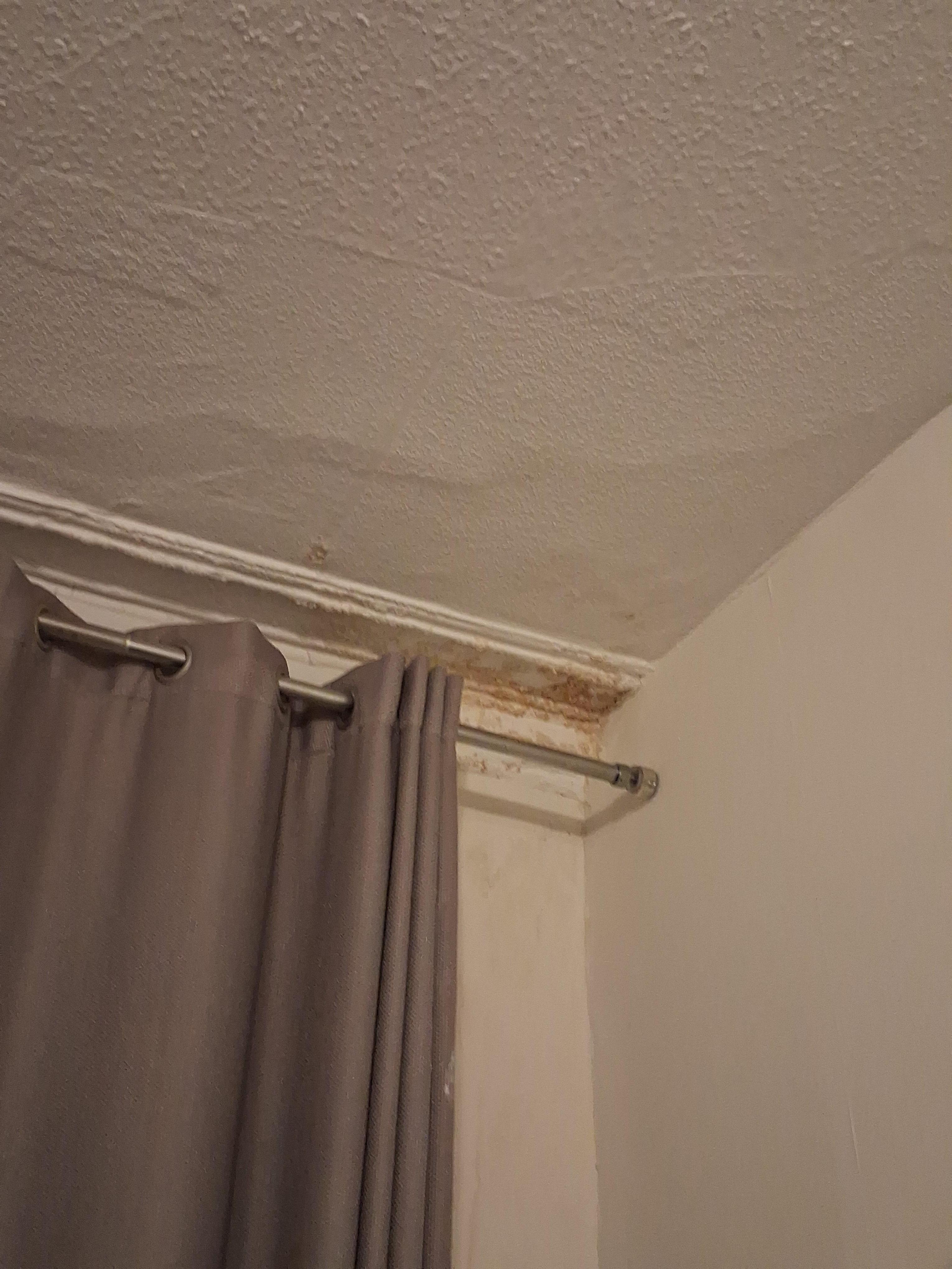 Some leakage but it was thd non opening window that was a concern even if it was onto the road noise.