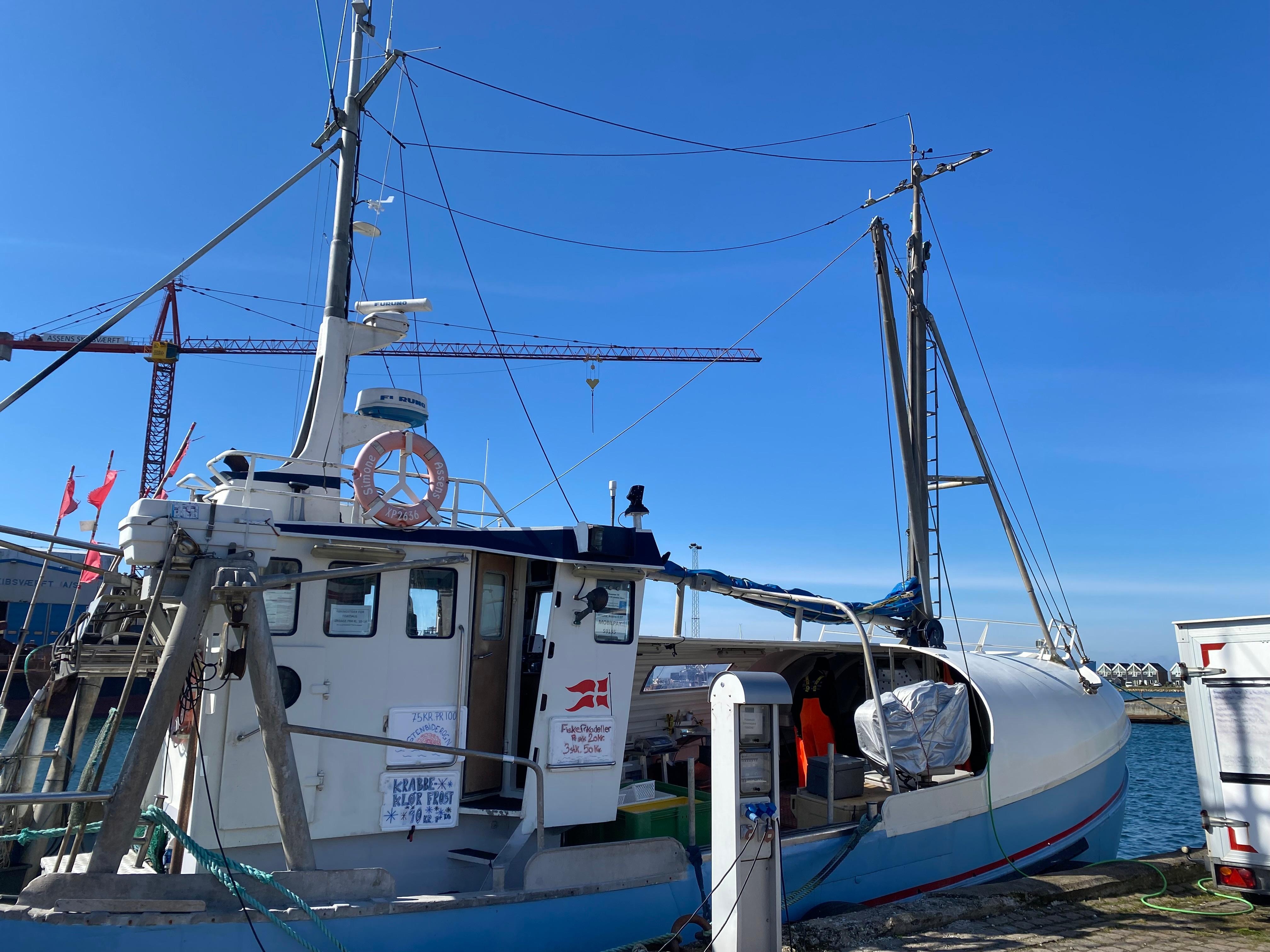 Hyggeligt havnemiljø tæt på 