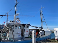 Hyggeligt havnemiljø tæt på