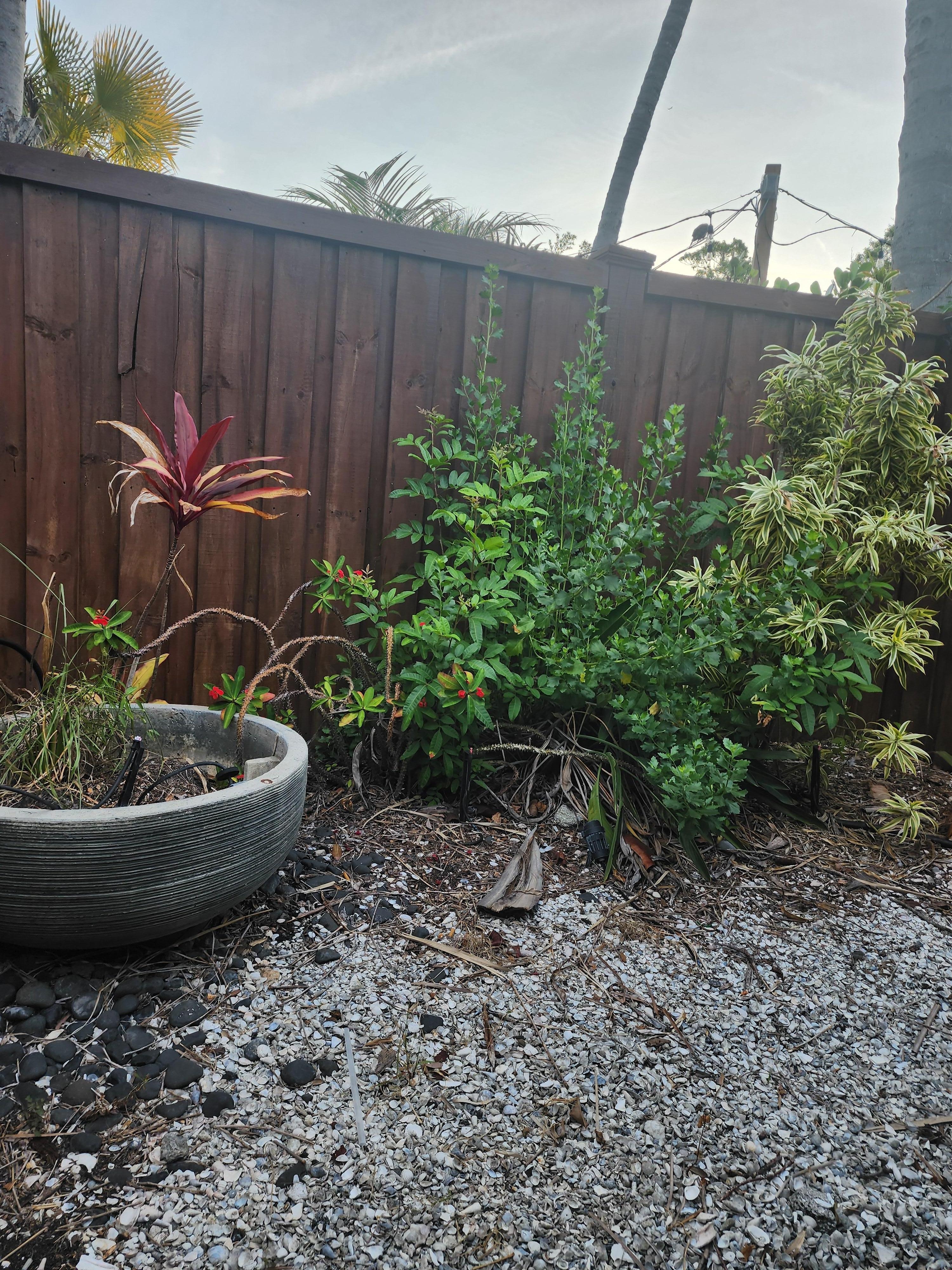 Patio area. Broken fountain.