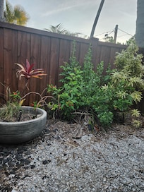 Patio area. Broken fountain.