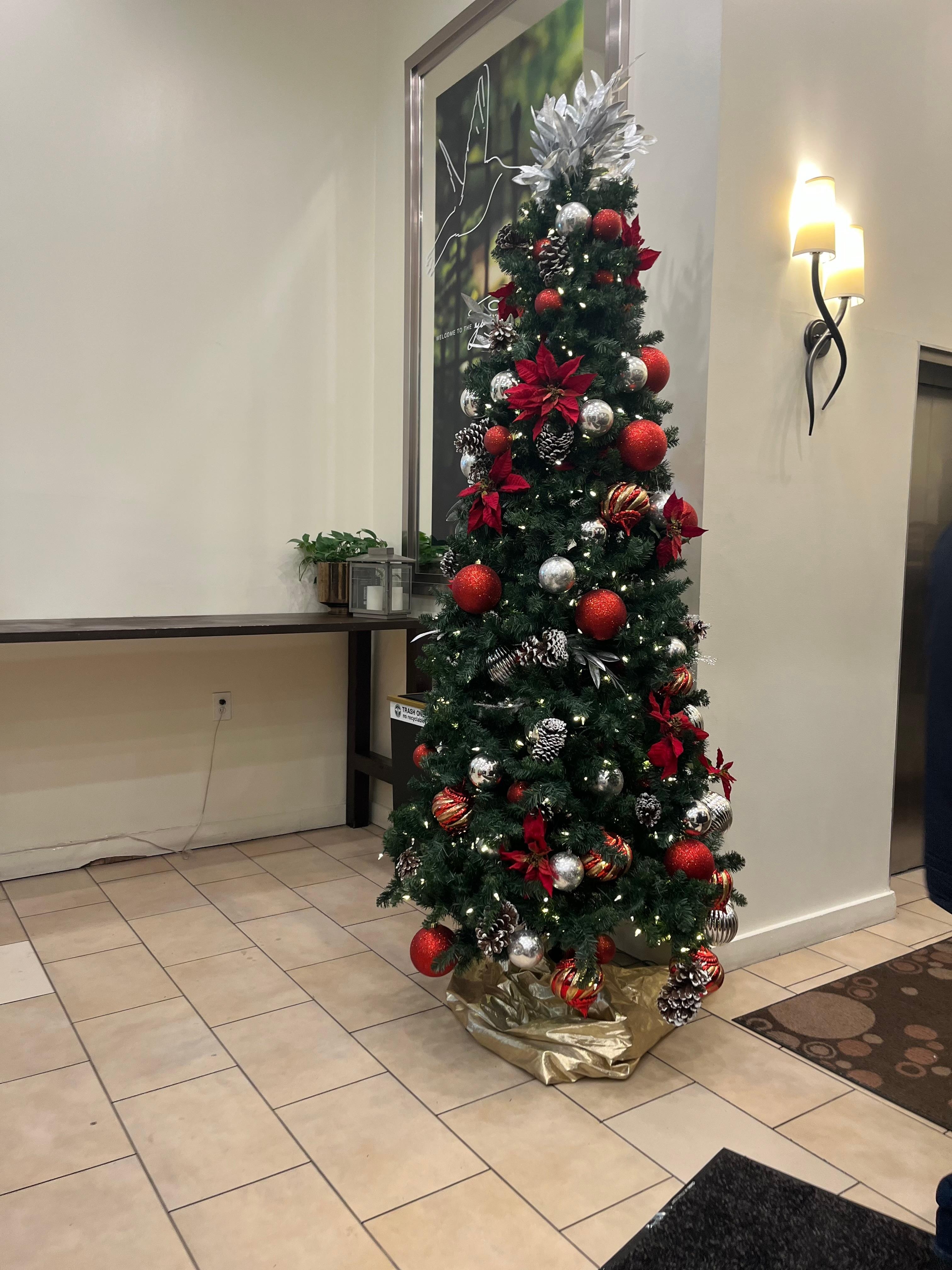 Bar du petit déjeuner avec café offert 