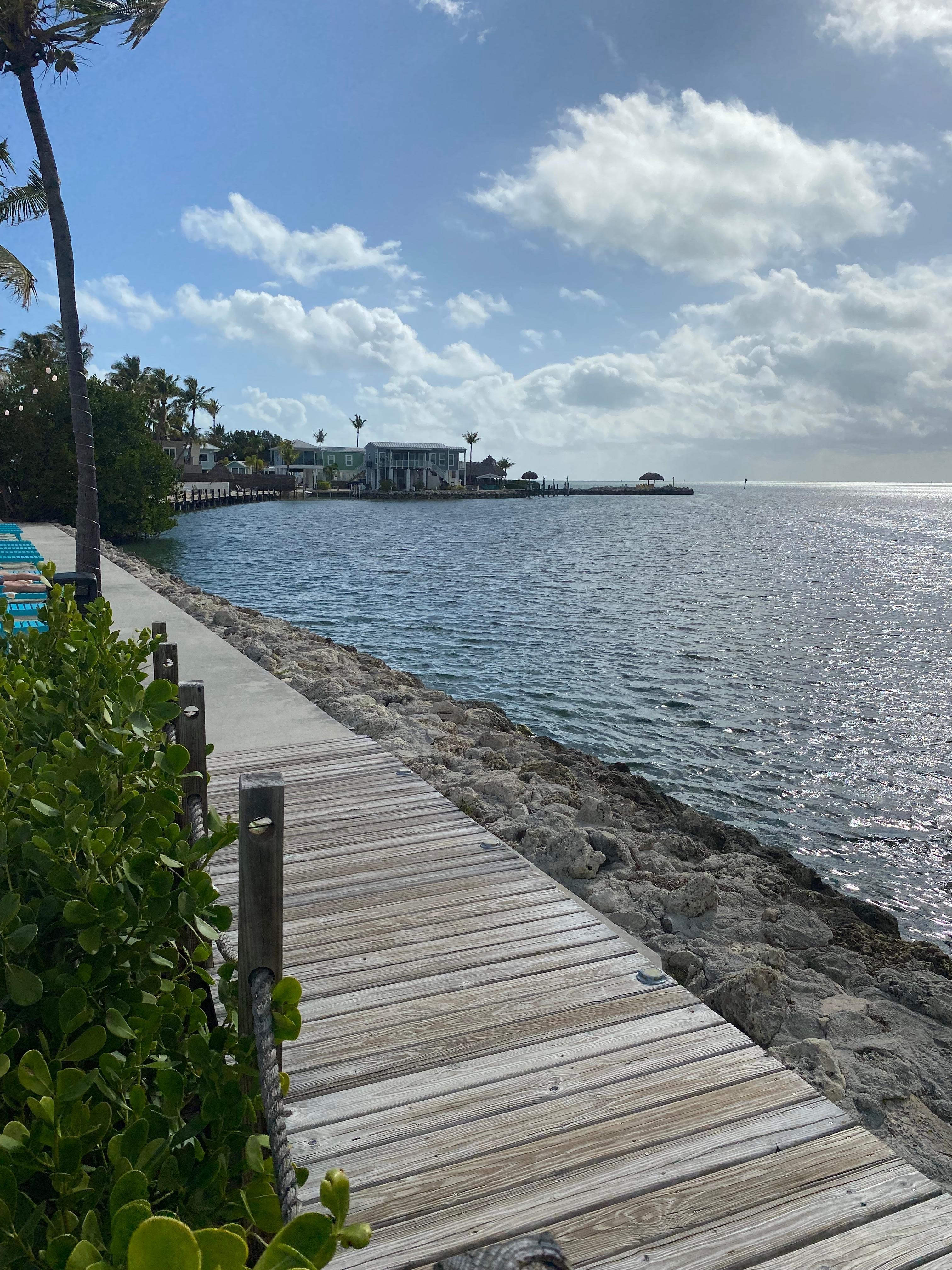 View from the back dock
