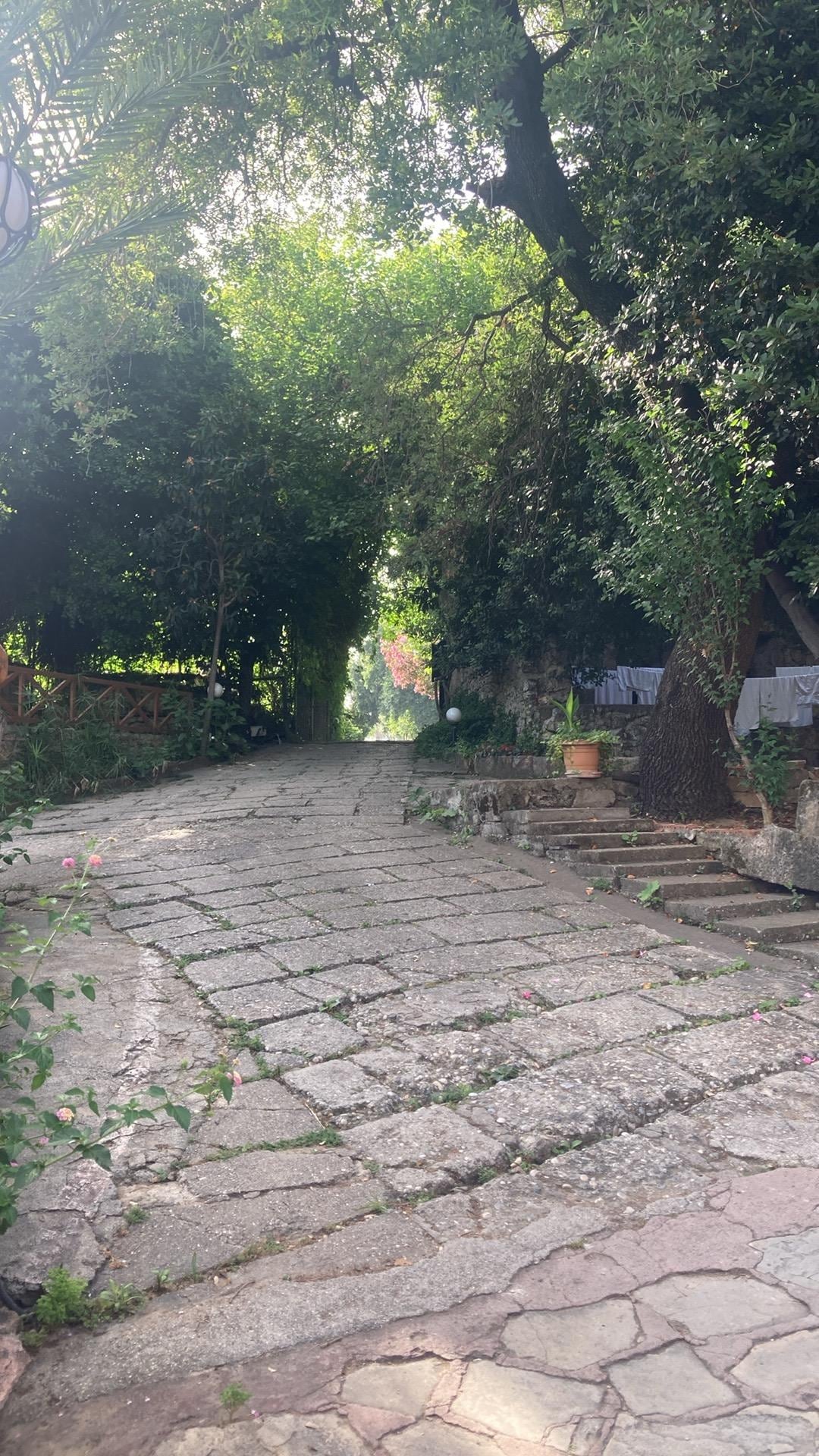 pathway to the main road and Roman ruins