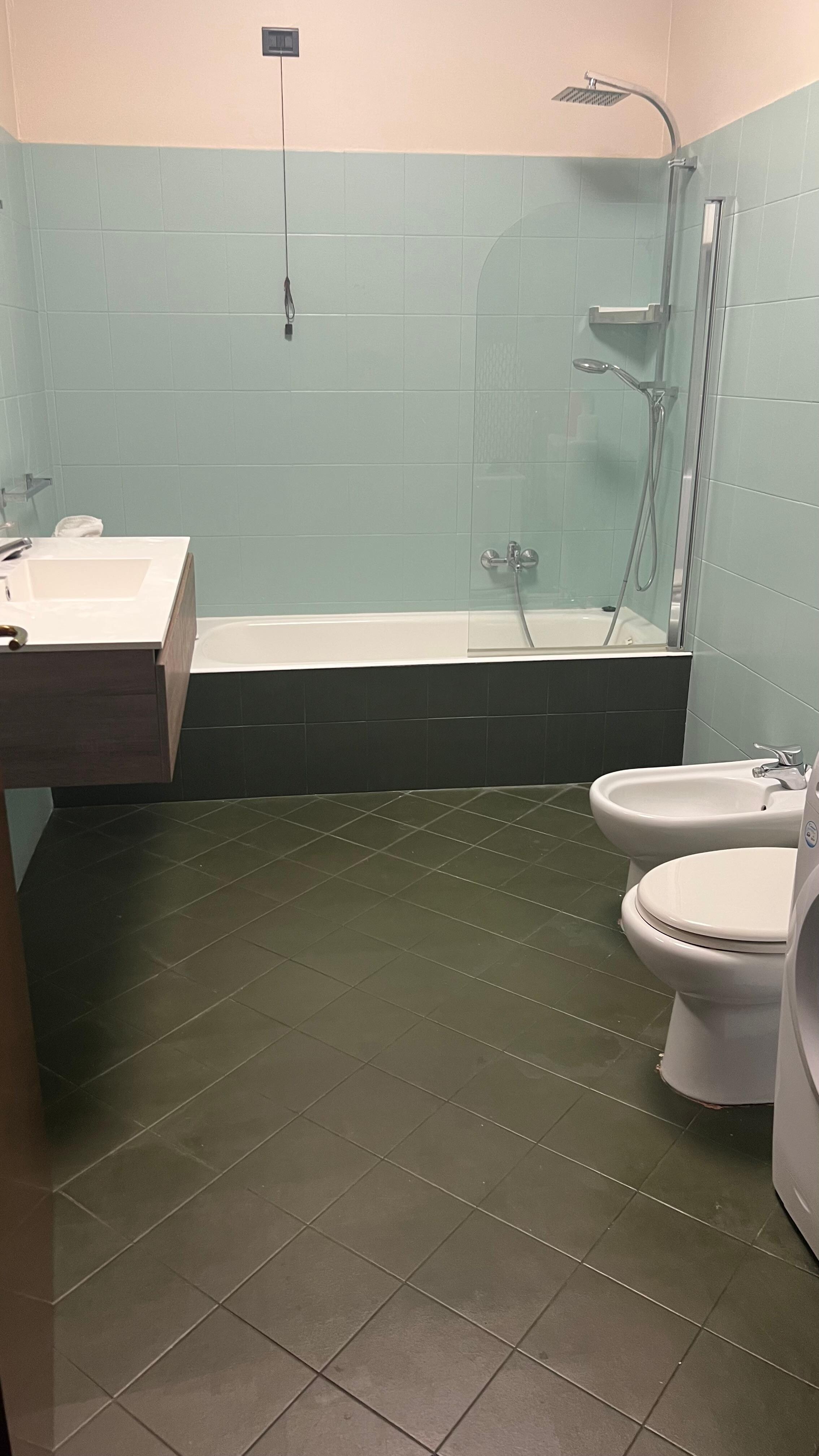 Zip ties holding shower together. Toilet seat does not fit and gross