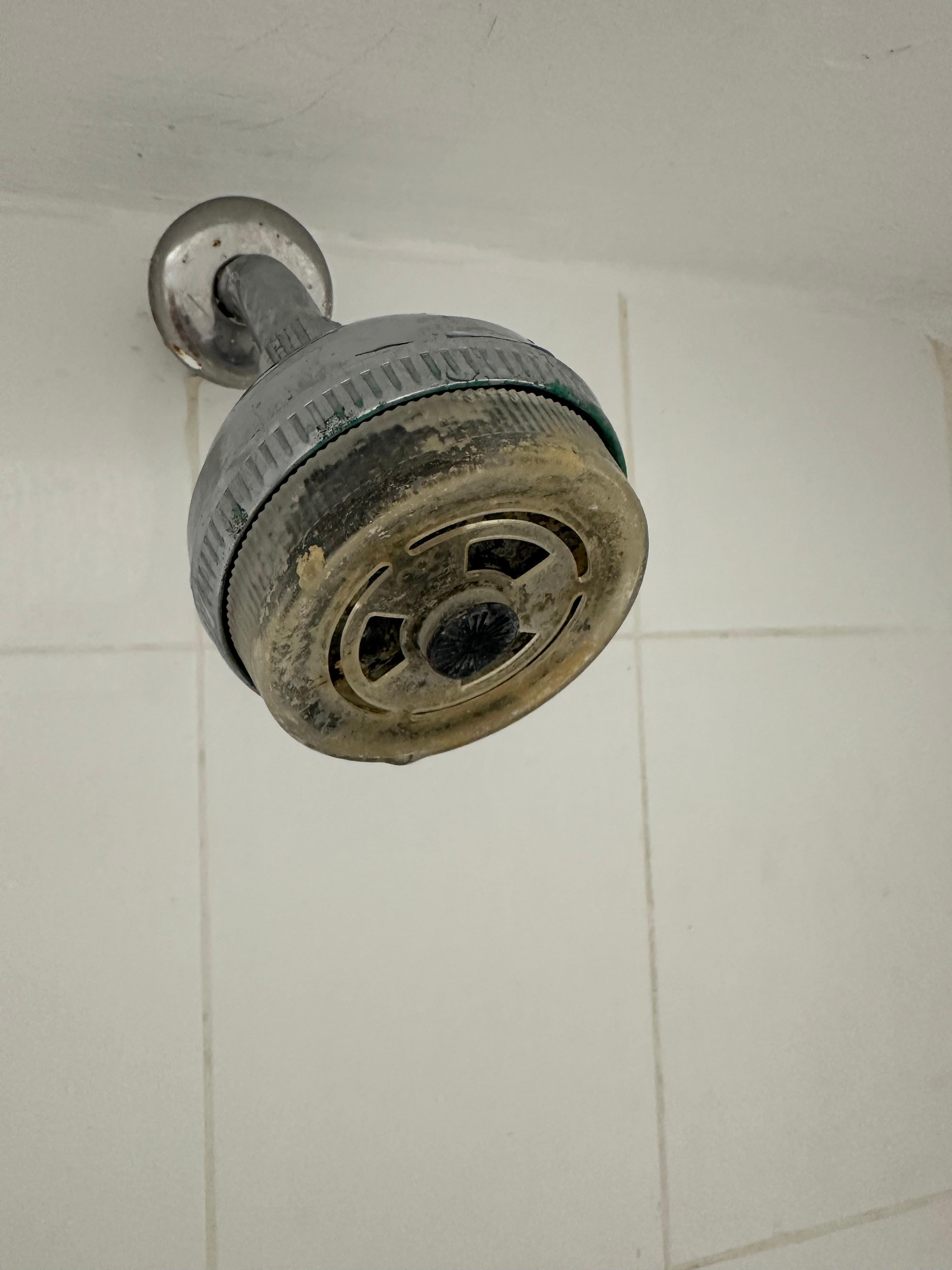 Dirty shower