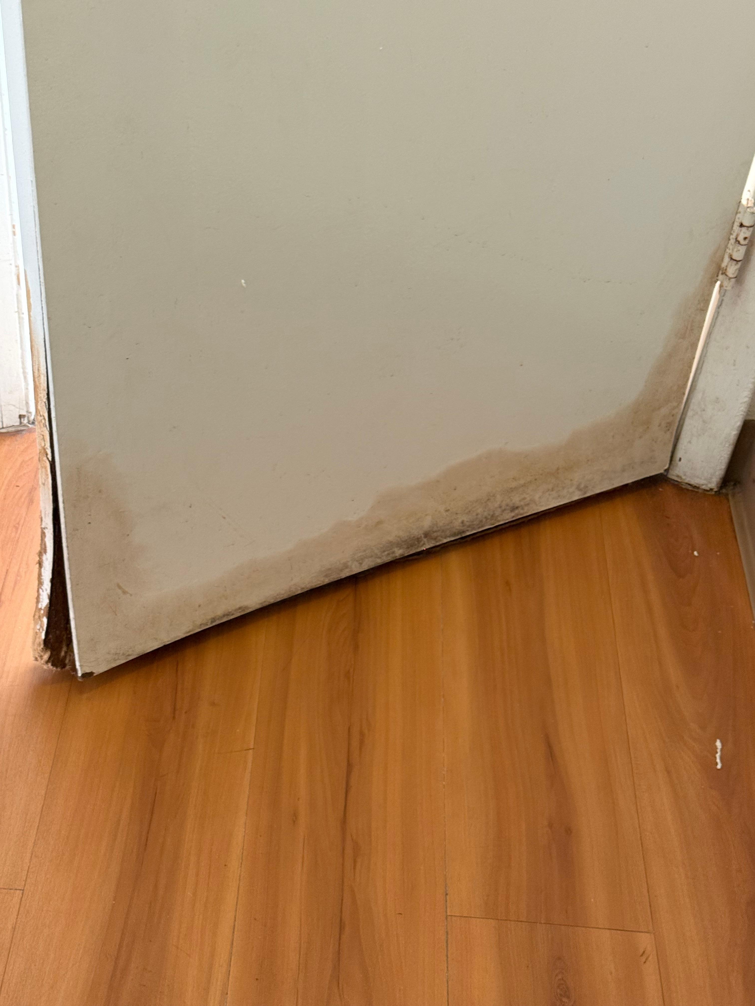 The door of the bathroom 