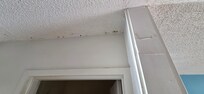 mold and ceiling falling apart