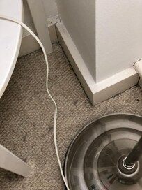 Like every corner! Not seen a hoover or duster in ages!