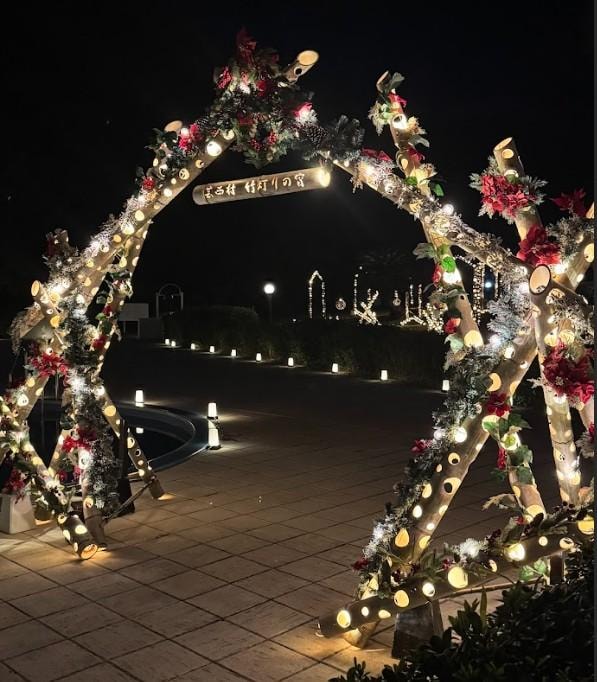 Winter lights in November on the grounds. 