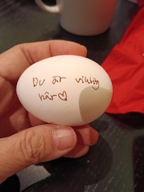 Lovely uplifting messages on each of the eggs at breakfast. This was mine