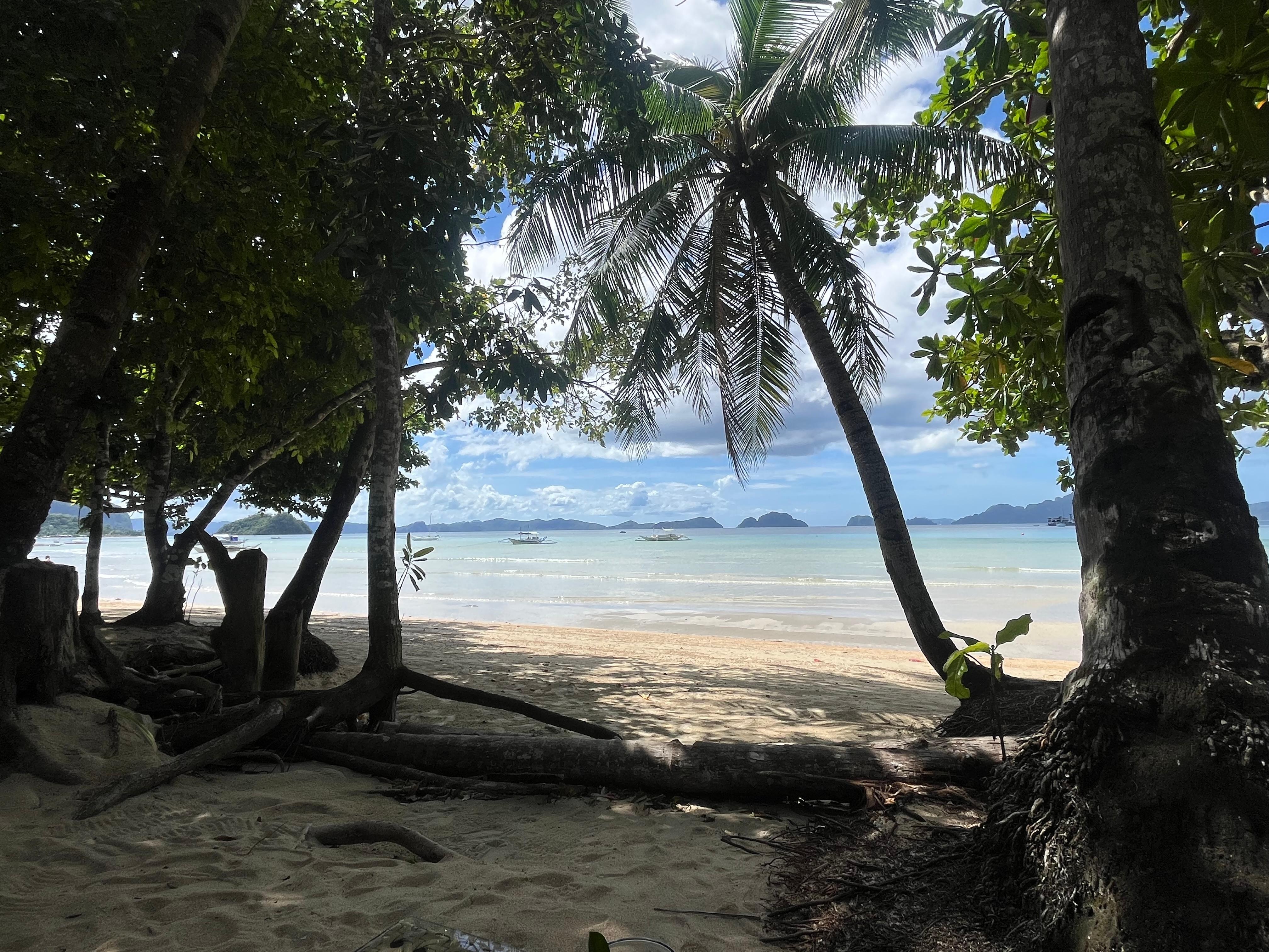 The view from the bar