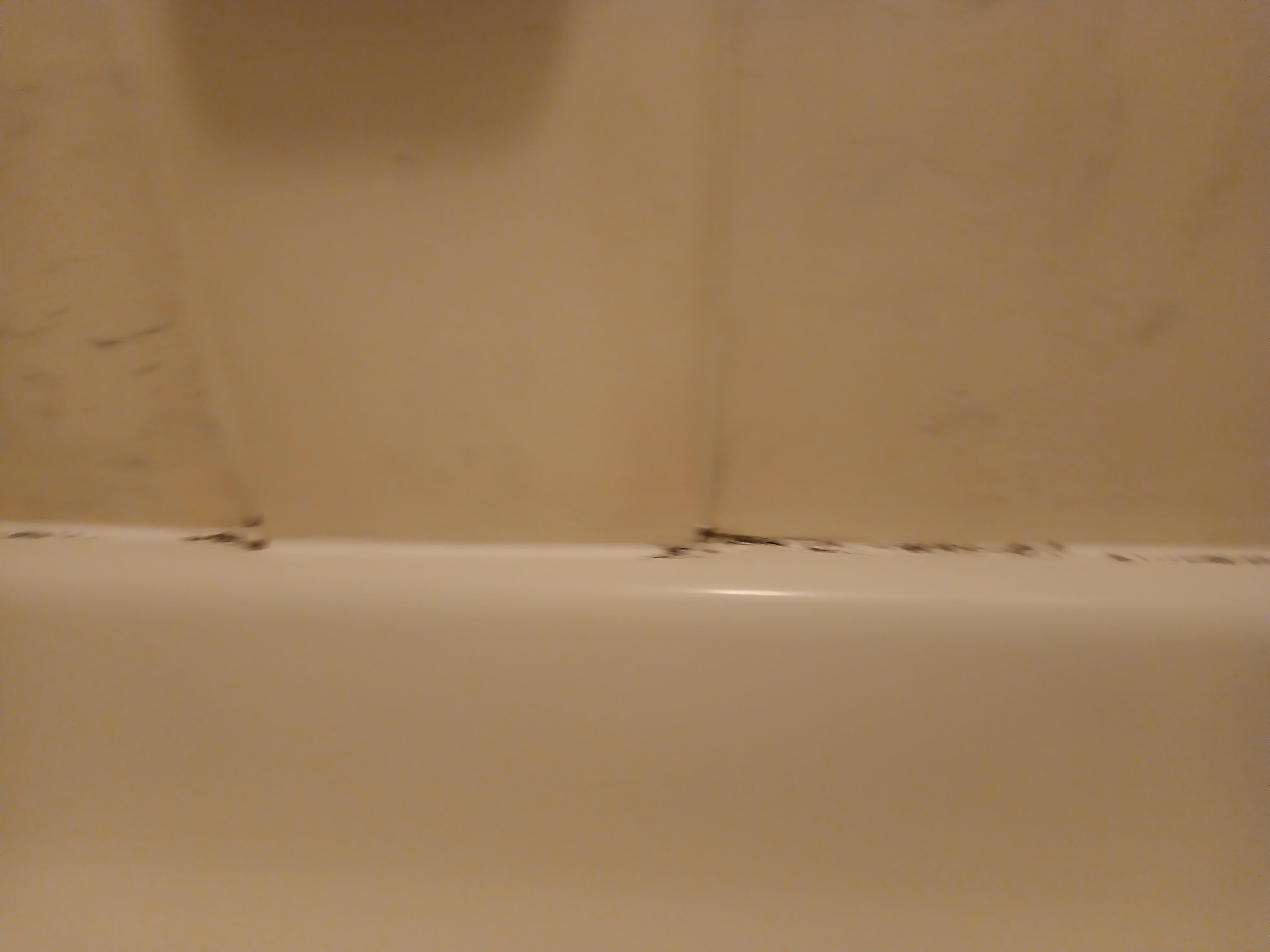 Black mold 