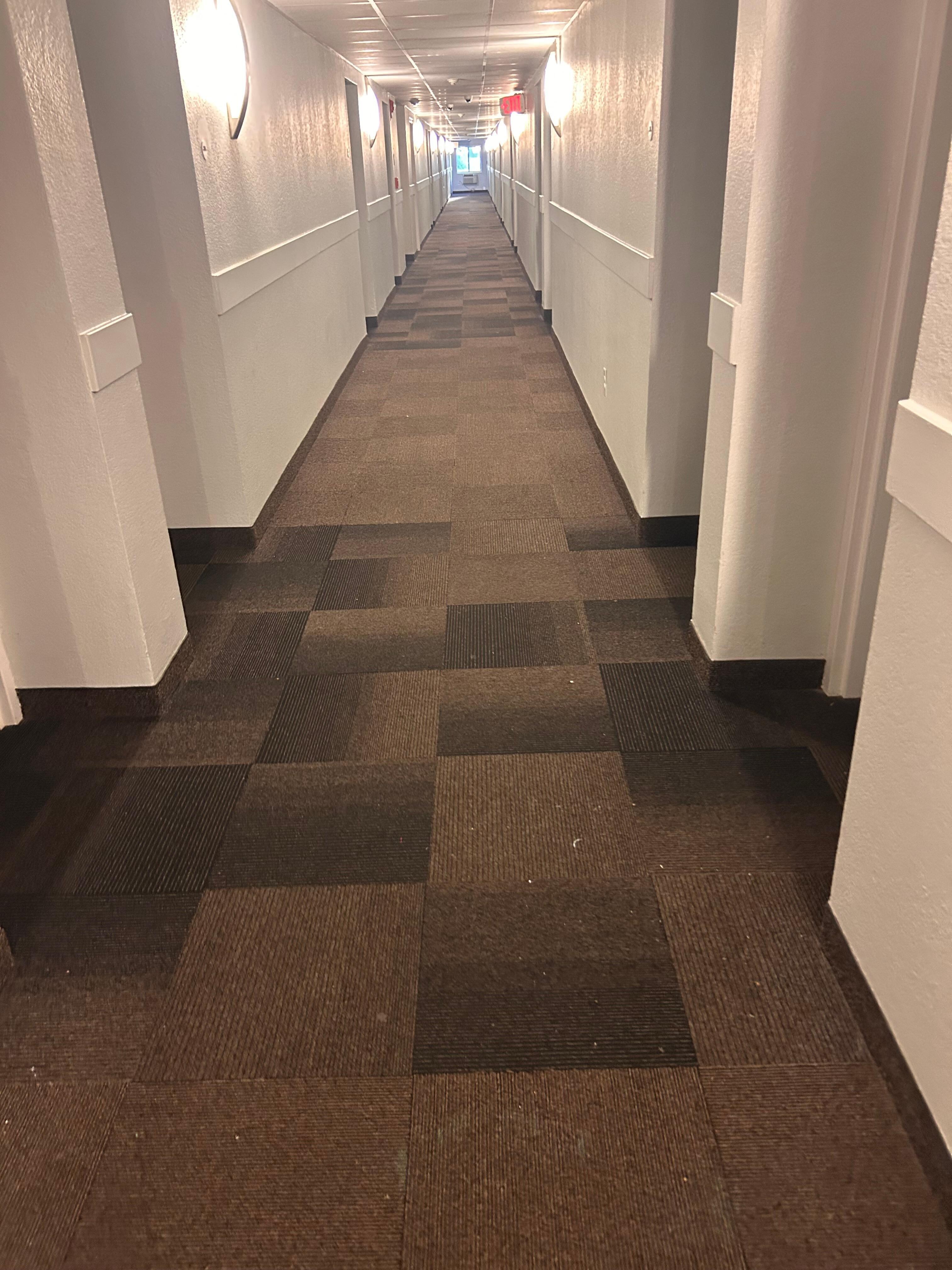 Old carpet that stinks 
