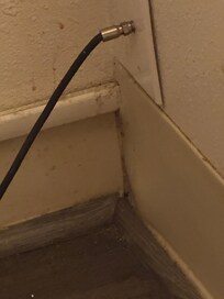 In the corner next to the TV roach, fecal matter and filth