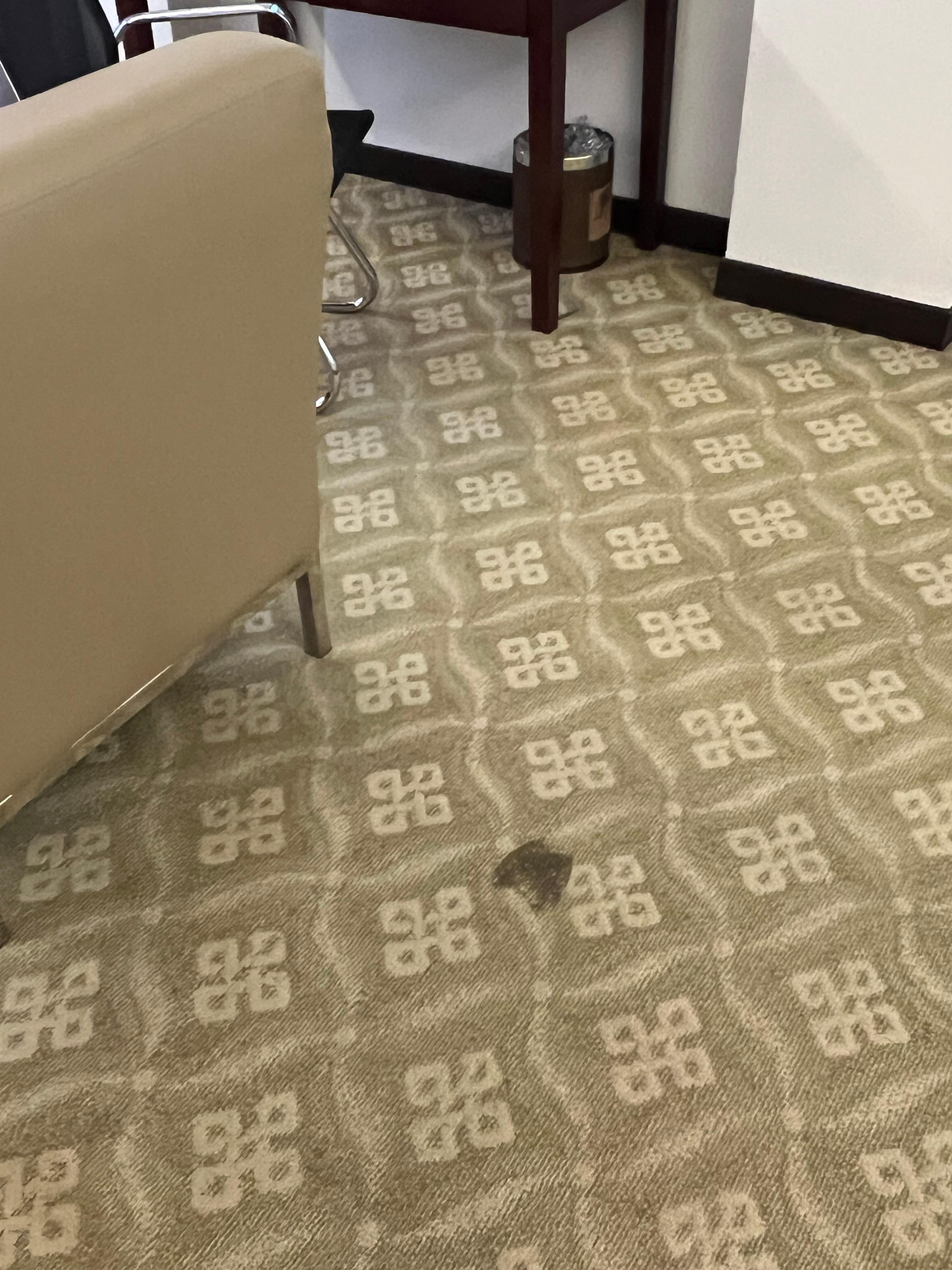 Giant stain on the carpet.