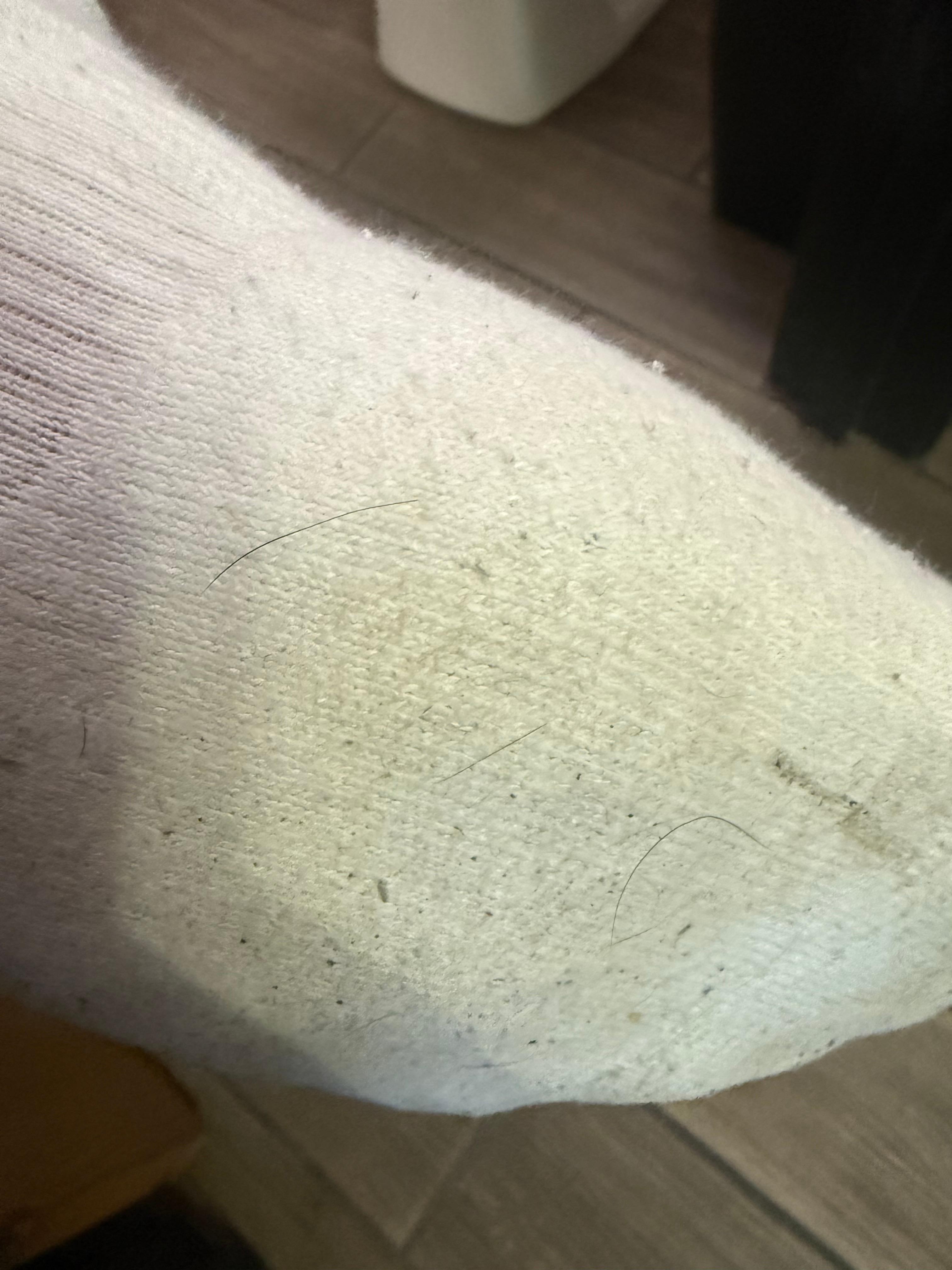 My socks minutes after walking into the room 