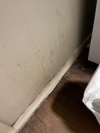 Greasy splattered grime behind bin