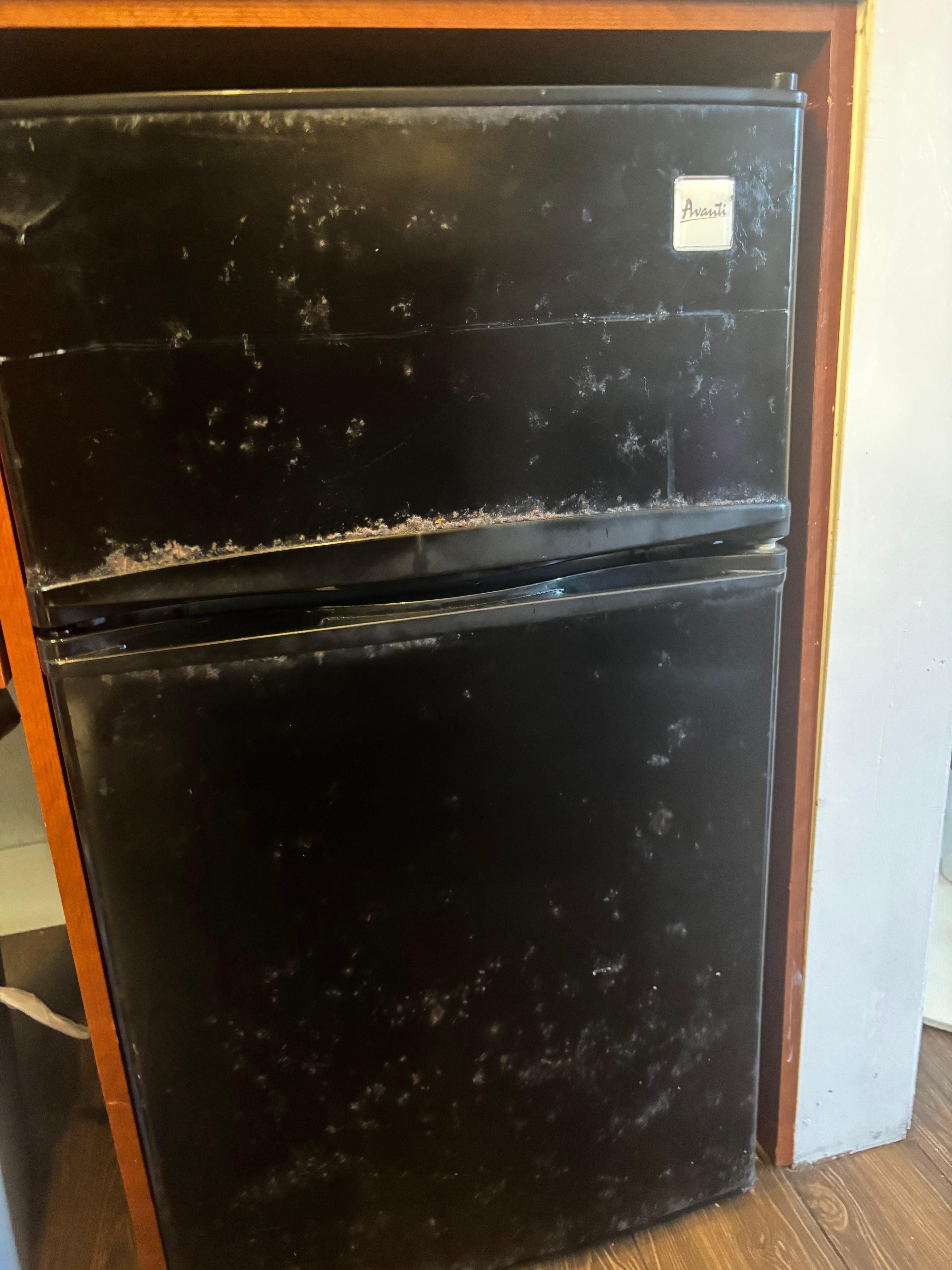 I was scared to open this rusted refrigerator door. Who knows what would be found in the inside of the outside looked like this