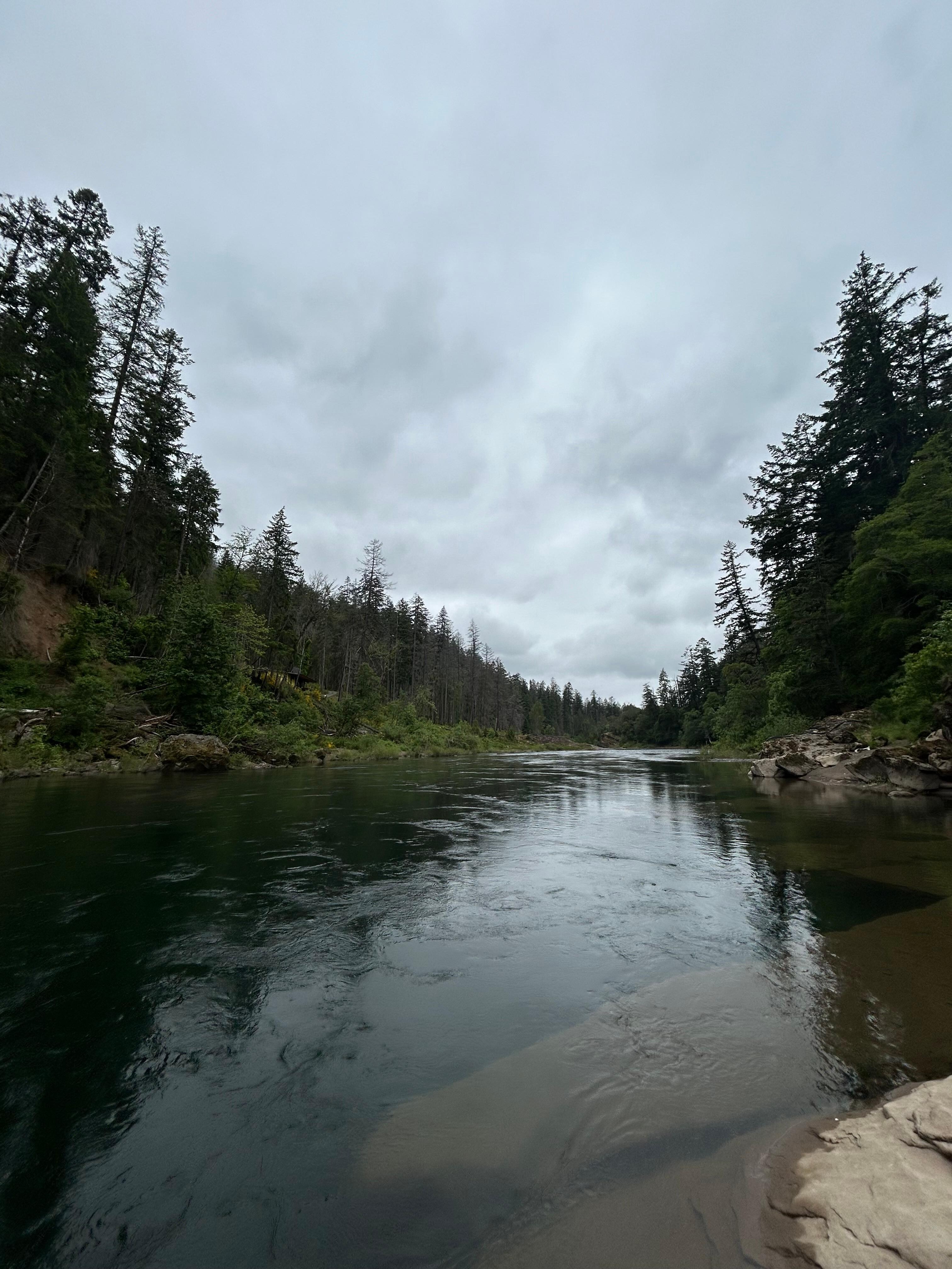 The view when you walk down to the river