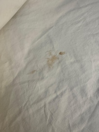 Stained bed sheets